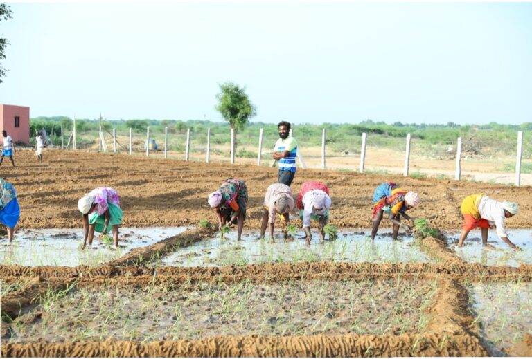 Hebbevu - India's Only Managed Farmland Company Supporting Its ...