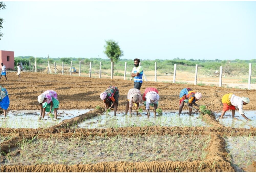 Hebbevu - India's Only Managed Farmland Company Supporting Its ...